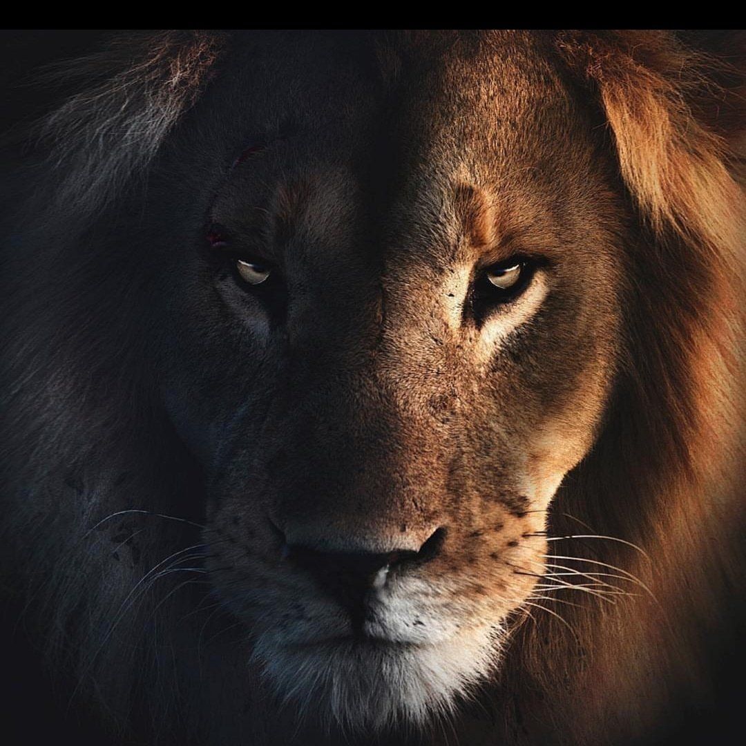 Custom Product Design – DG Custom Graphics