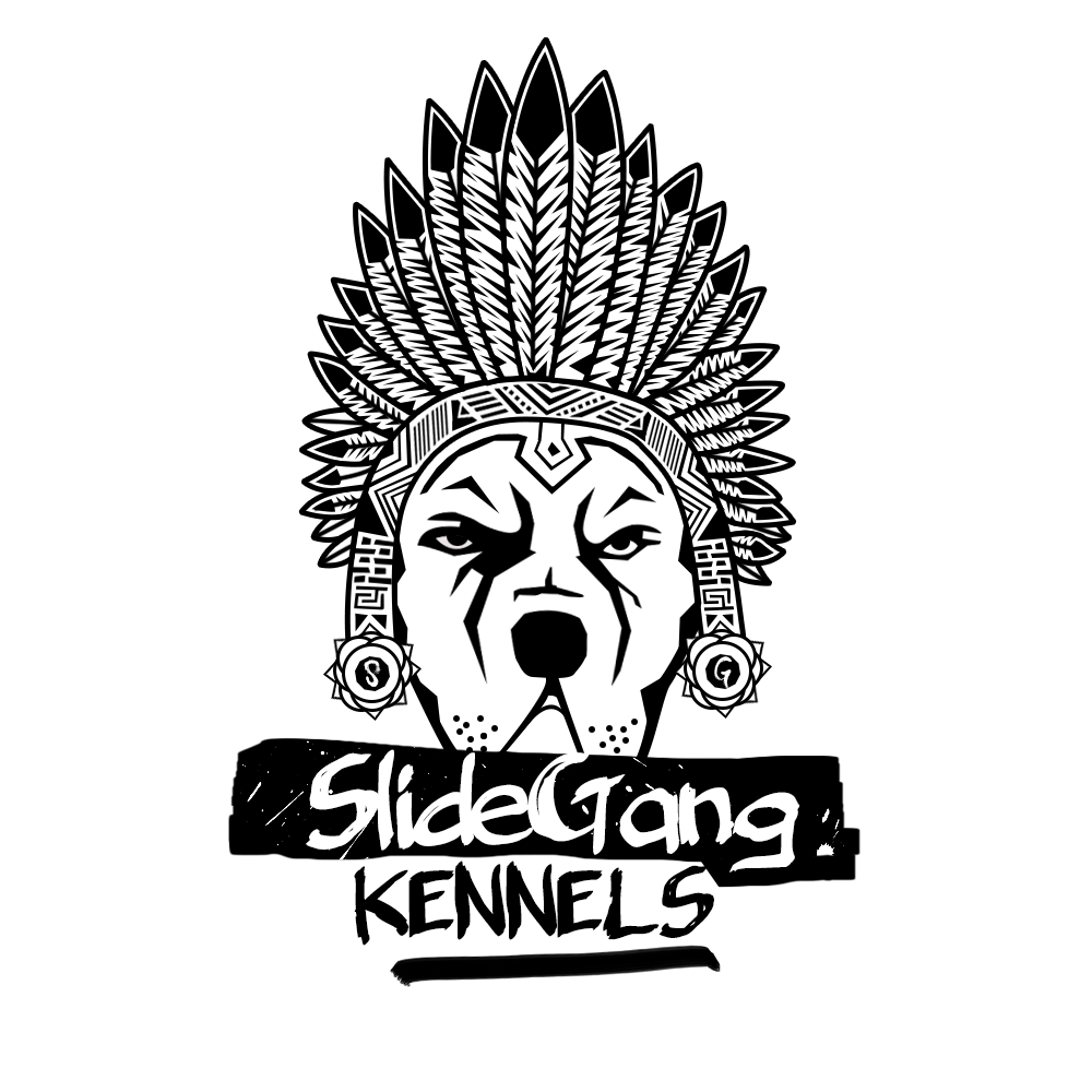 Custom Product Design DG Custom Graphics